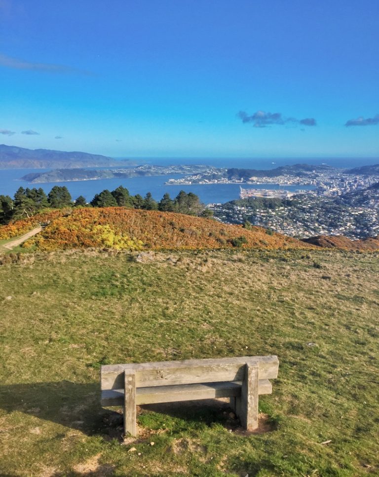 The Mount Kaukau Walk Details: A Scenic Summit Hike | Tiki Touring Kiwi