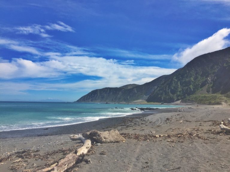 The Red Rocks Walkway In Wellington Guide (+ photos) | Tiki Touring Kiwi