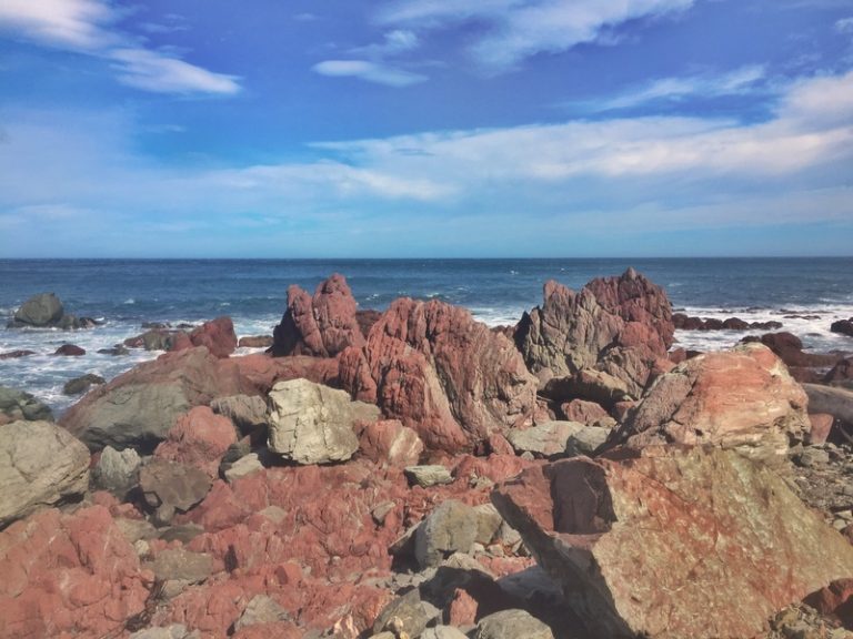 The Red Rocks Walkway In Wellington Guide (+ photos) | Tiki Touring Kiwi